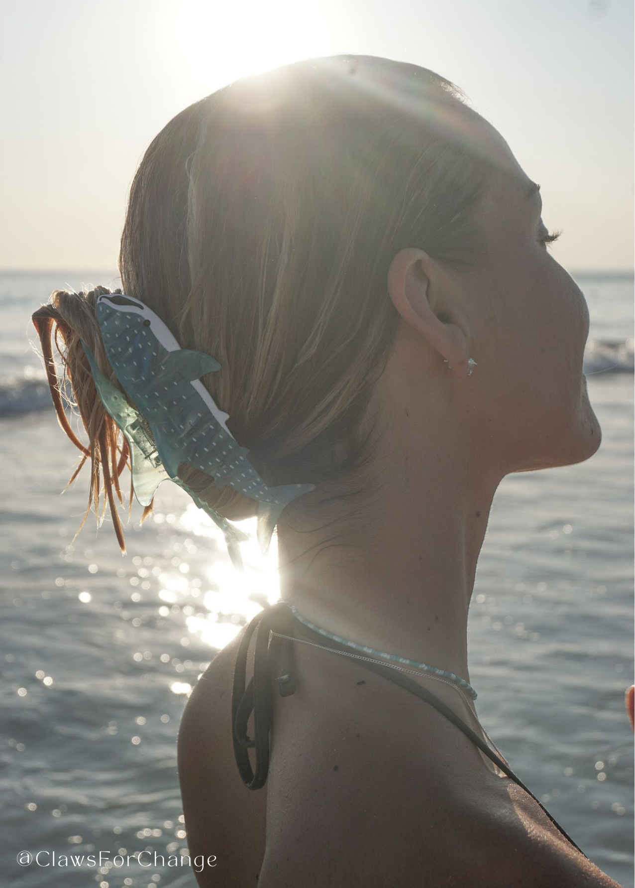 Claws For Change - Nature inspired hair claws