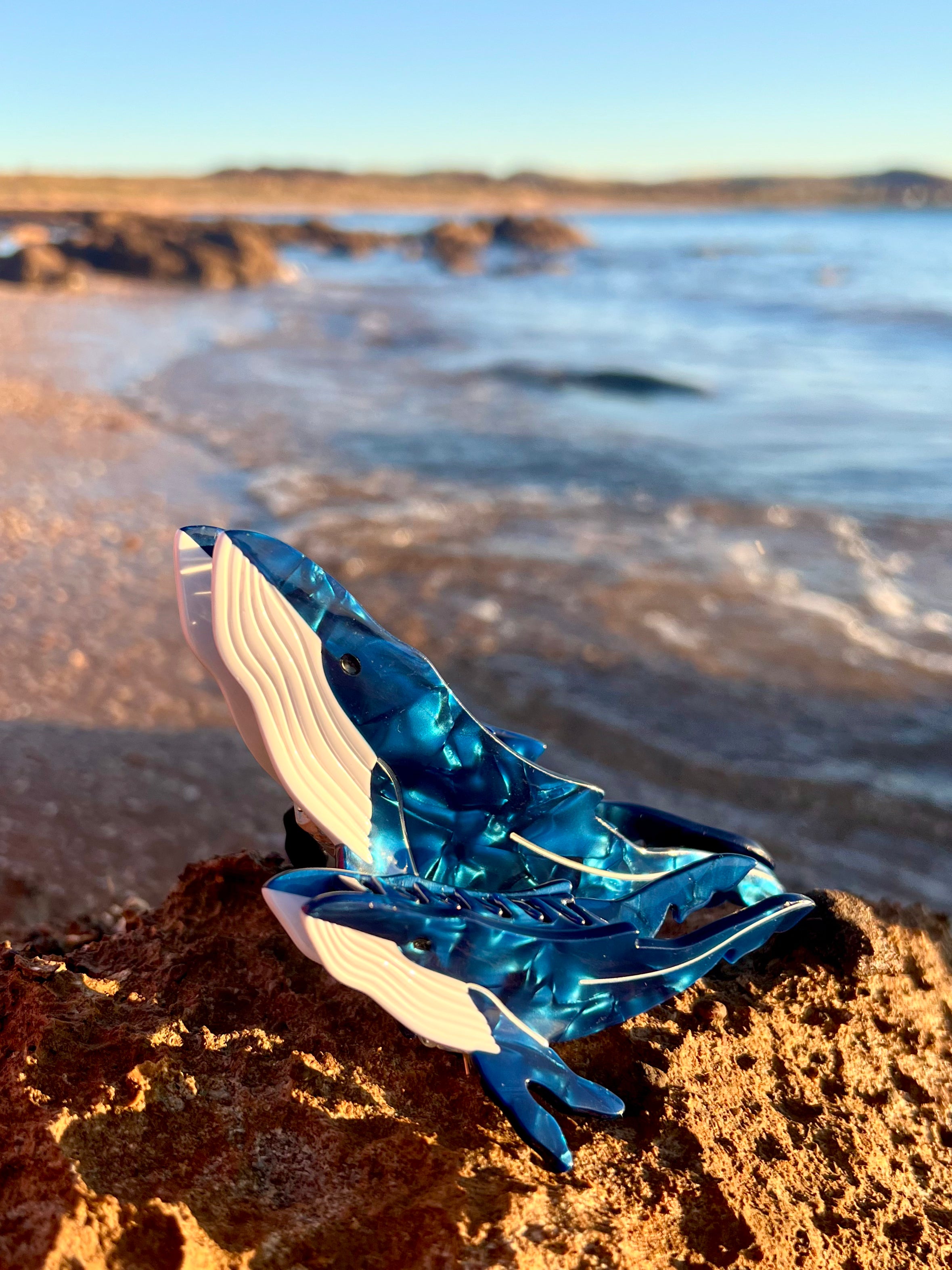 Claws For Change - Nature inspired hair claws